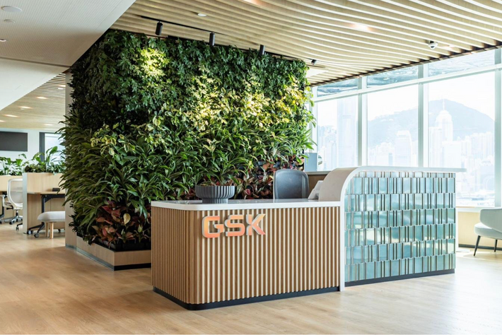 Plant Plant Wall – Plant Plant Holding Company Limited